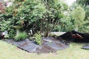 10 mulching tips 🌿 🌱 Discover ways to keep your garden healthy