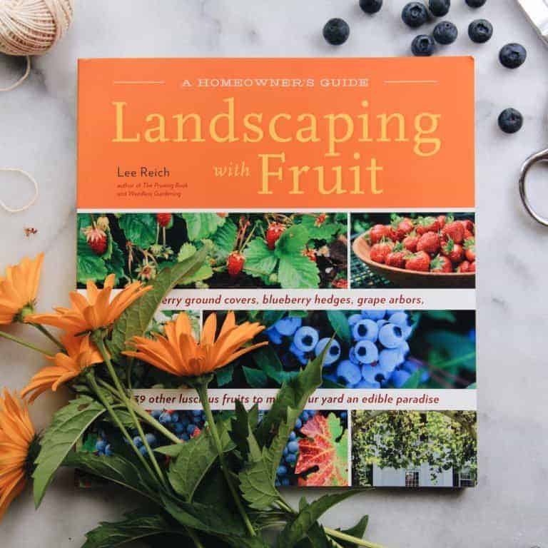 Best gardening books for green enthusiasts 📚🌿 Expand your botanical horizon