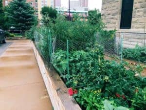 Community garden tips and best practices 🌷🌟 Cultivate harmony and bounty