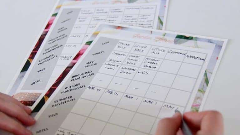 How to make a planting calendar for your garden 📅 🌿 Unlock seasonal success