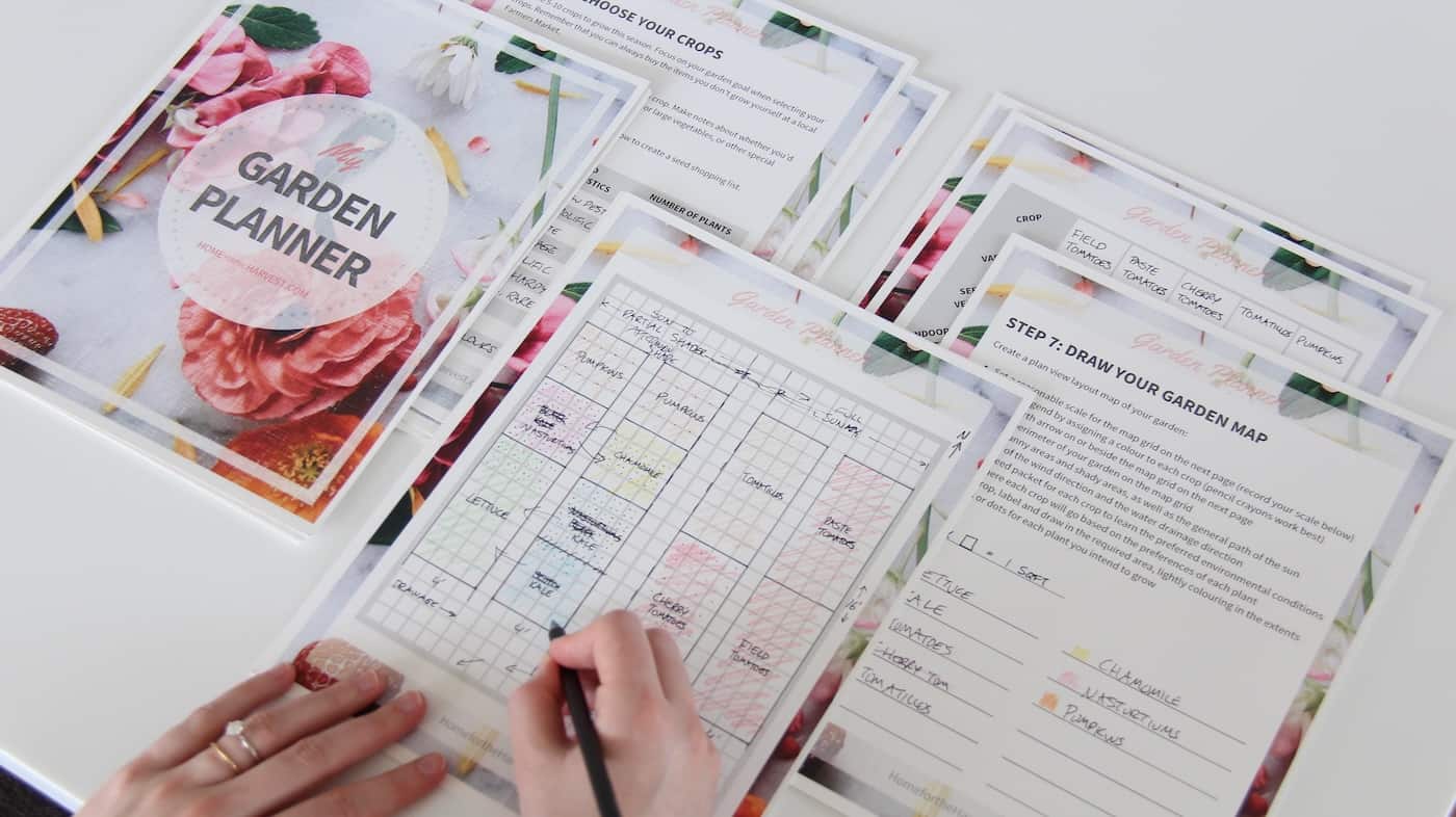 Garden map 🗺️ 🌿 Drawing tutorial for your vegetable garden