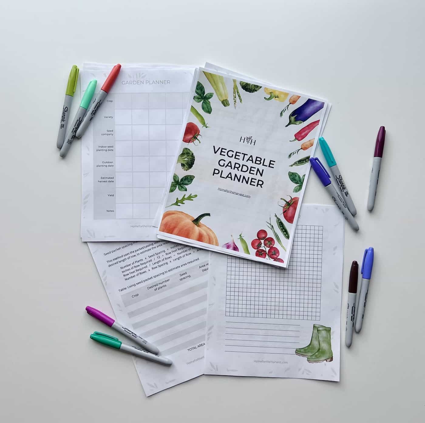 Garden map 🗺️ 🌿 Drawing tutorial for your vegetable garden