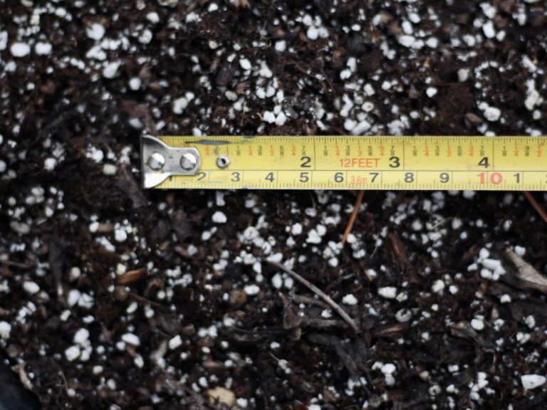 Garden map 🗺️ 🌿 Drawing tutorial for your vegetable garden