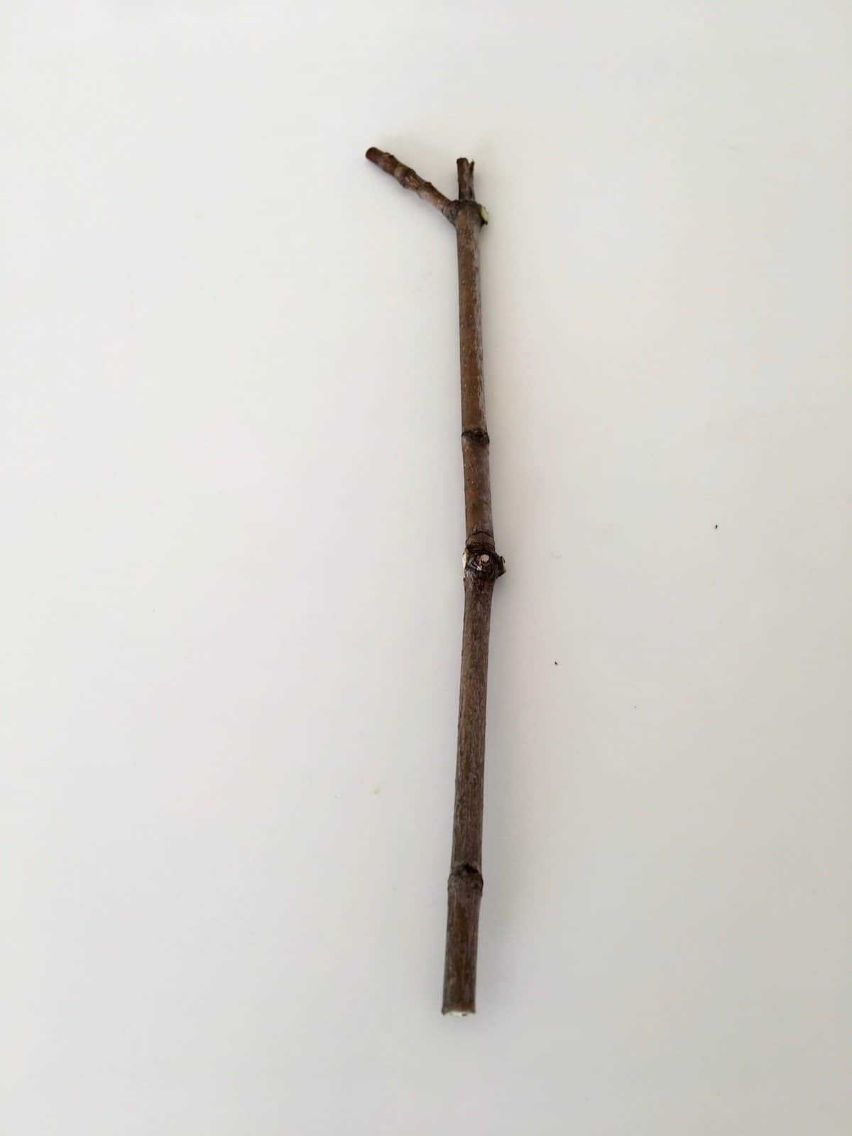 Twig reindeer for a rustic, festive charm 🦌 Craft your own woodland ...