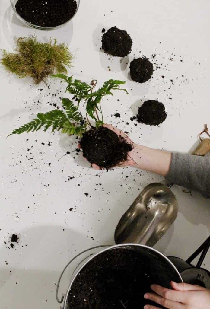 How to make kokedama moss ball gardens 🌿🇯🇵 Explore the art of this ...