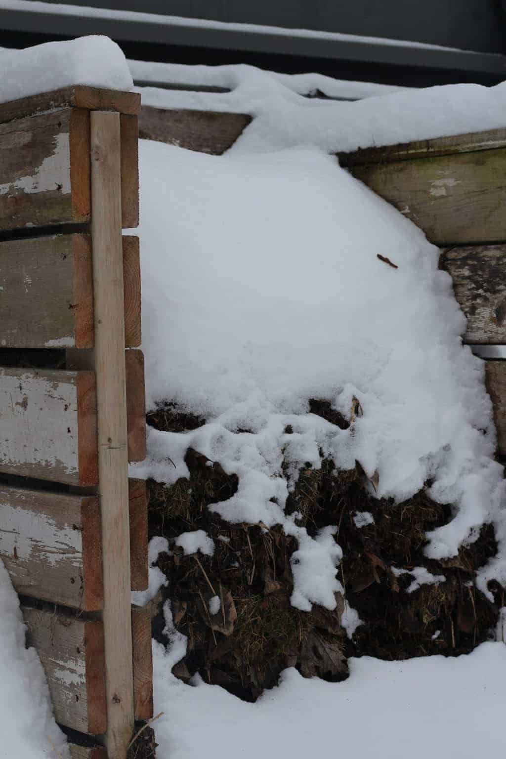 Winter composting guide ️ 🌱 Discover the secrets to off-season success