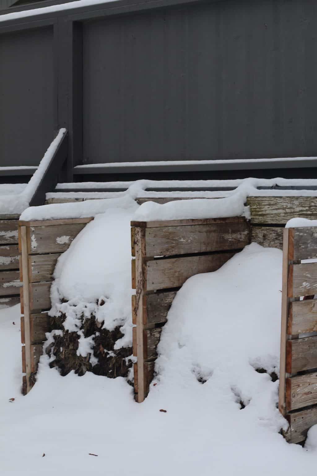 Winter composting guide ️ 🌱 Discover the secrets to off-season success