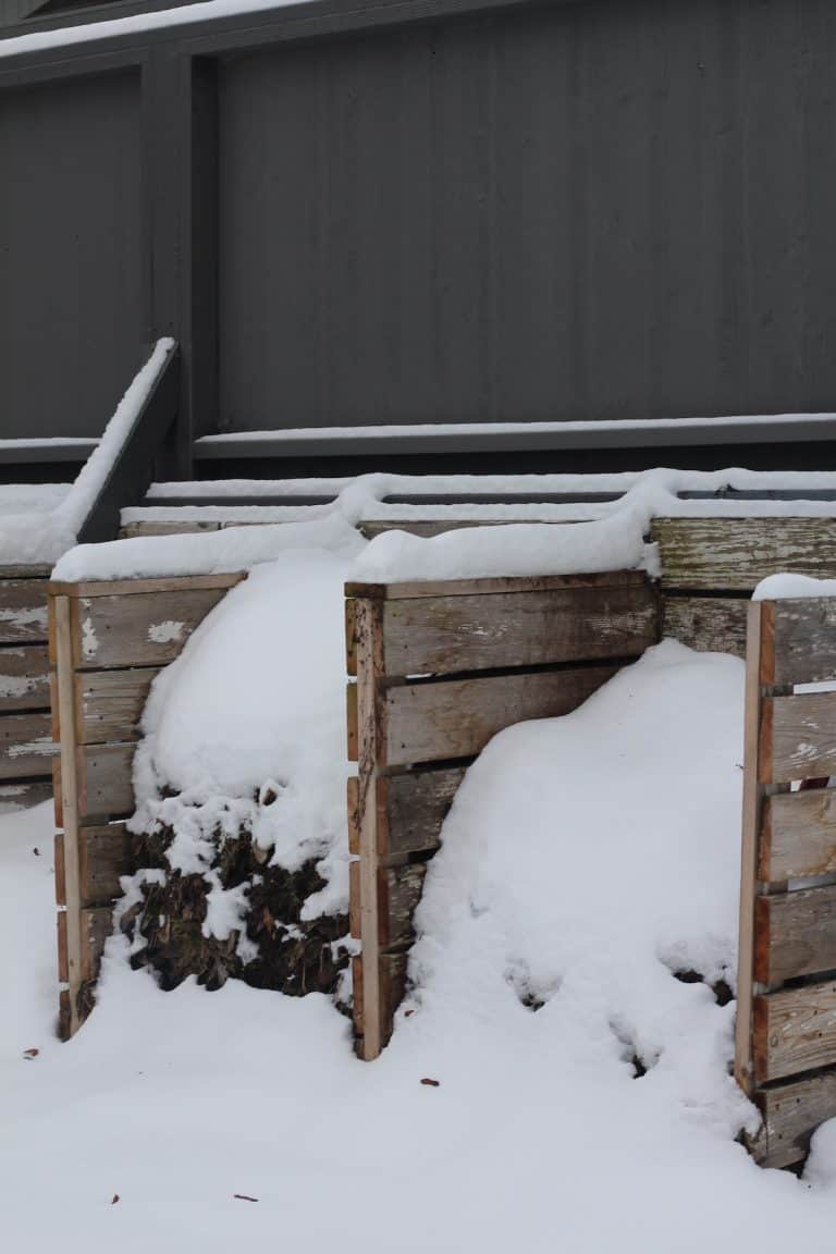 Winter composting guide ️ 🌱 Discover the secrets to off-season success