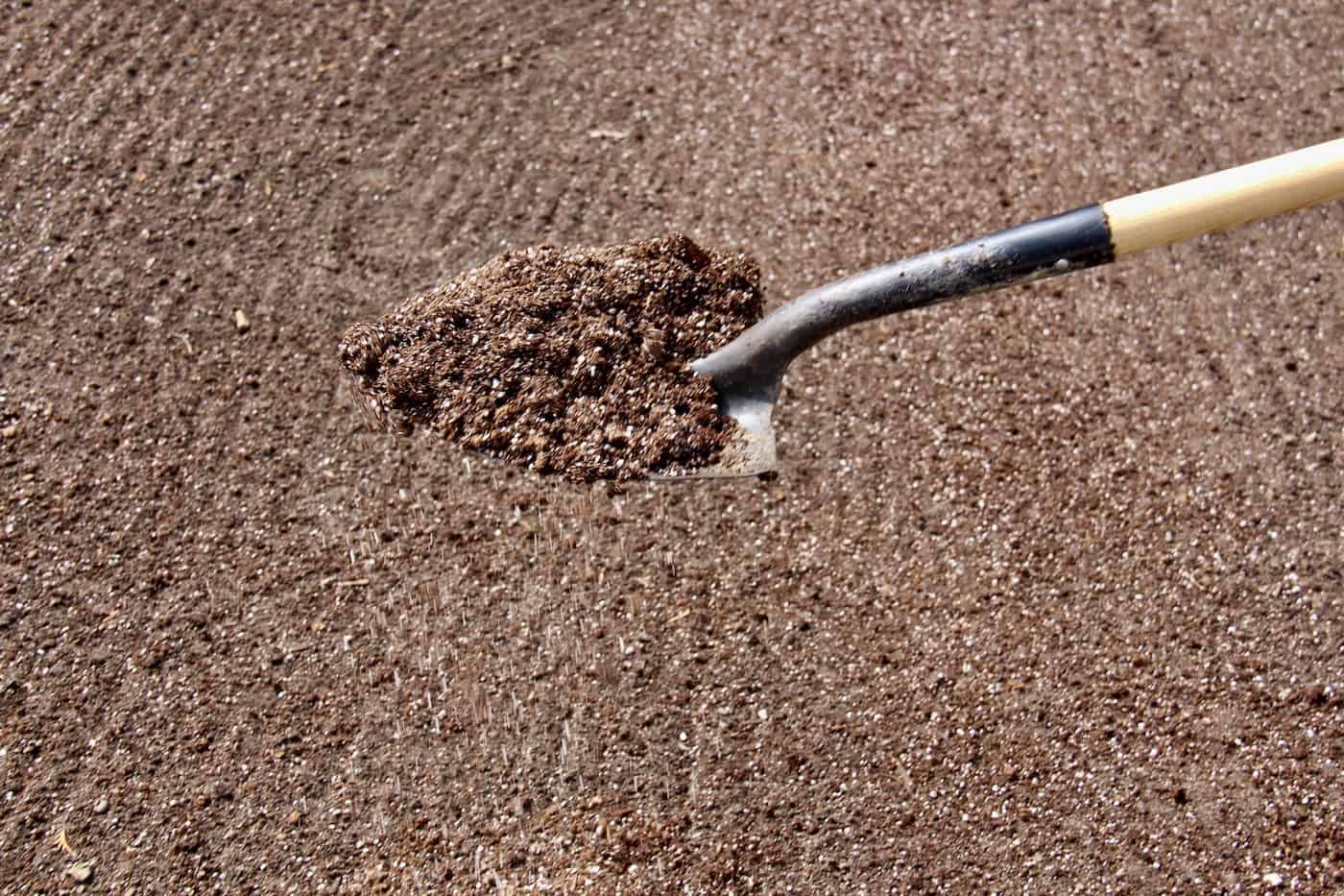 What is the white stuff in potting soil? 💭🌱 Learn its purpose and benefits