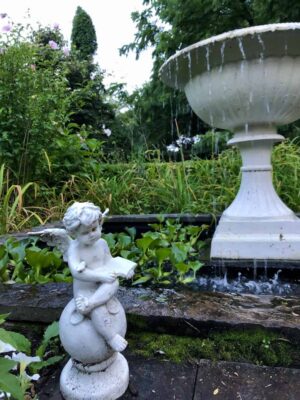 Where to find moss for a magical garden look 🌿 Uncover the best places