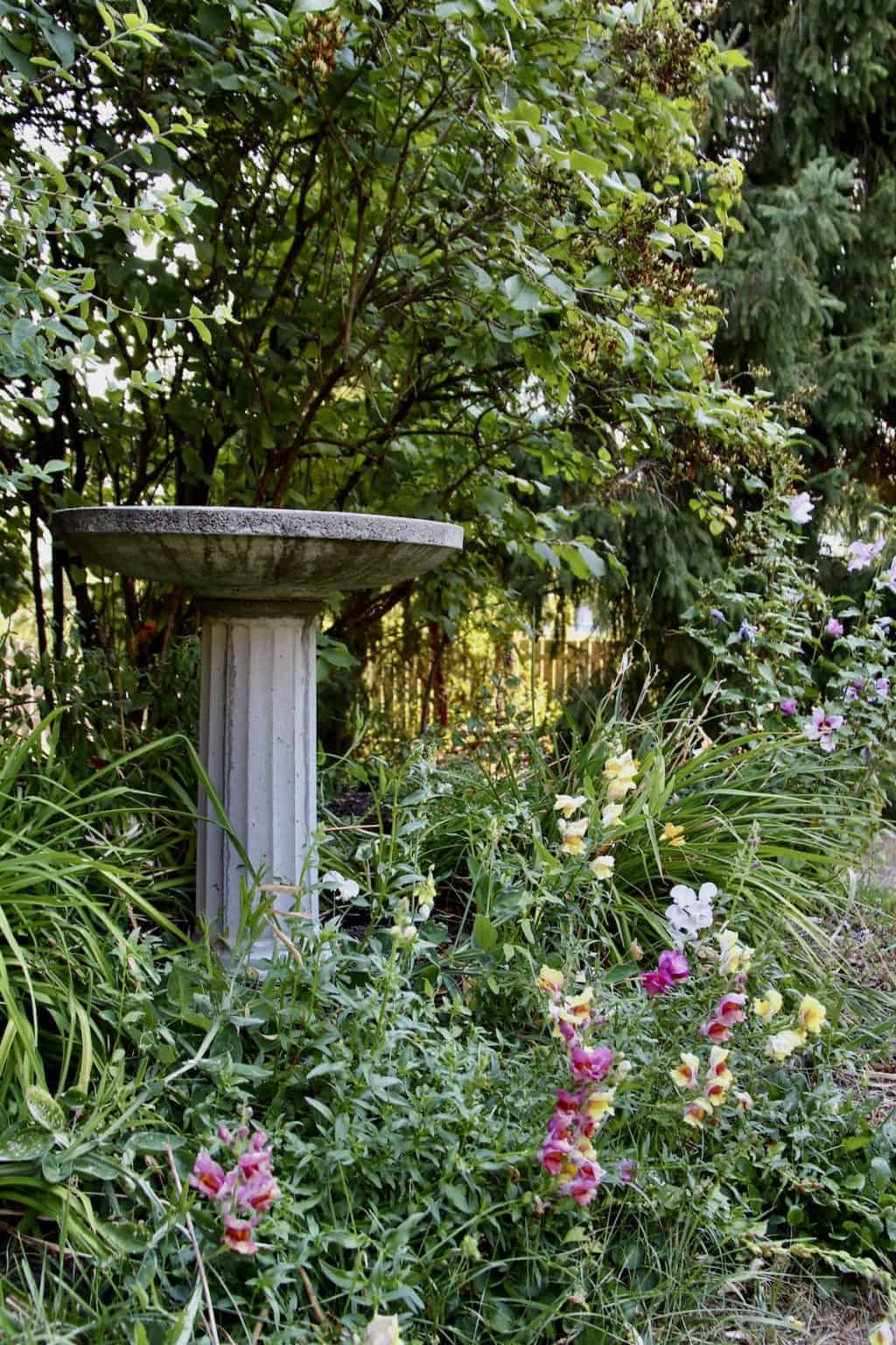 Concrete bird baths 🐦 🌿 Create a harmonious backyard sanctuary