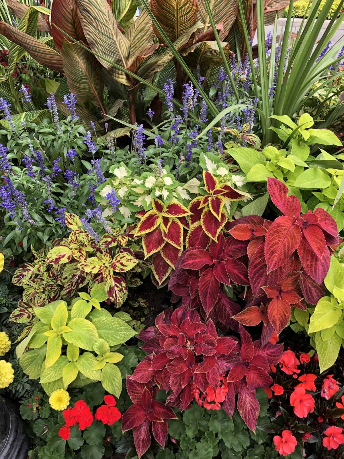 Whiskey barrel planter ideas 🌸 💡 Unique and rustic creative charm