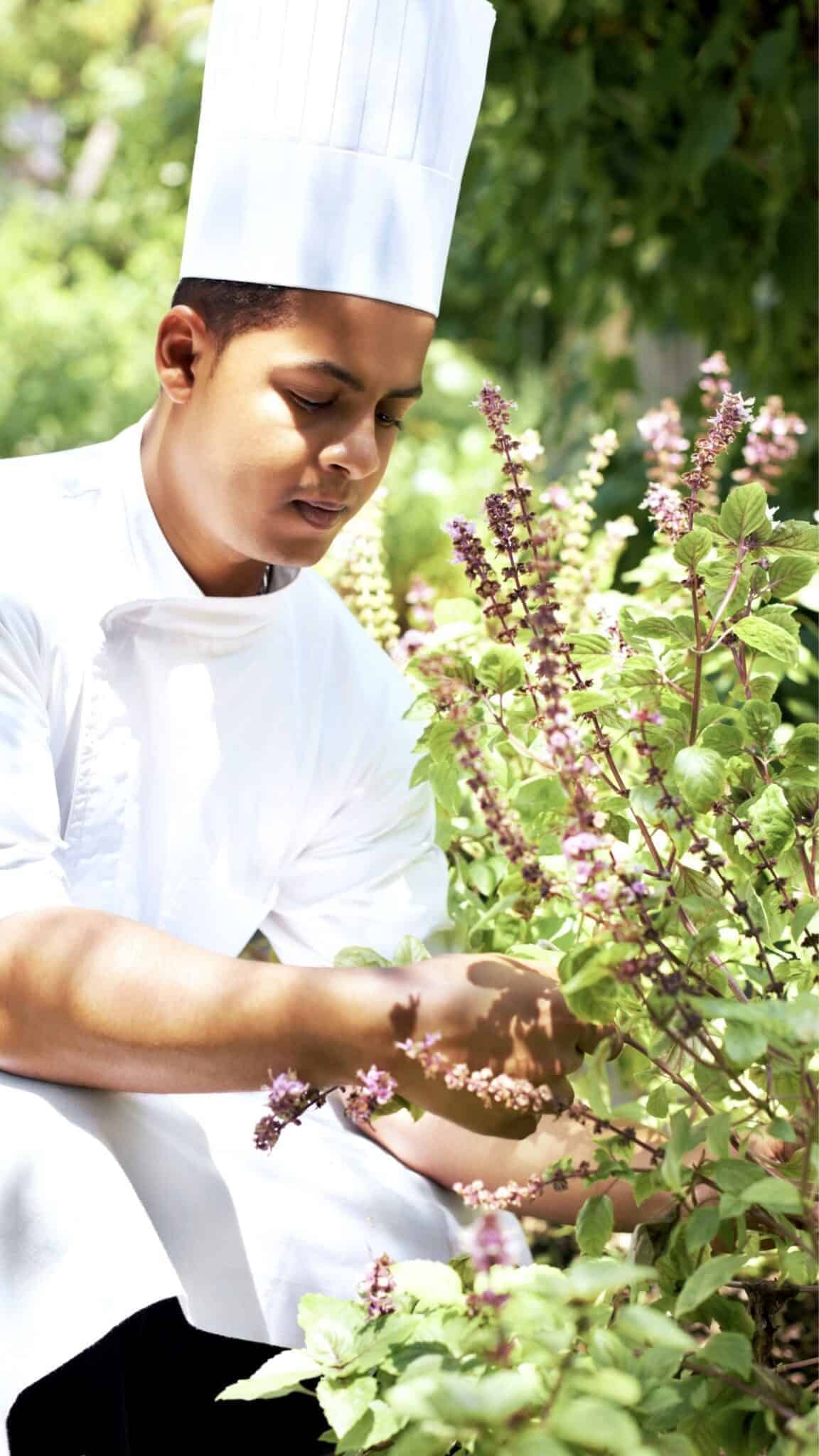 25 culinary herbs 🌿 🍲 Elevate your dishes with flavorful additions