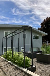 Raspberry trellis 🌿 🛠️ Options and steps to support bountiful harvests