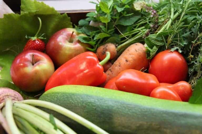 Summer vegetable gardening ☀️ 🌱 Savor a season of abundance