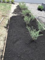 7 garden edging ideas 🌿 🌸 Transform your outdoor space with defined ...