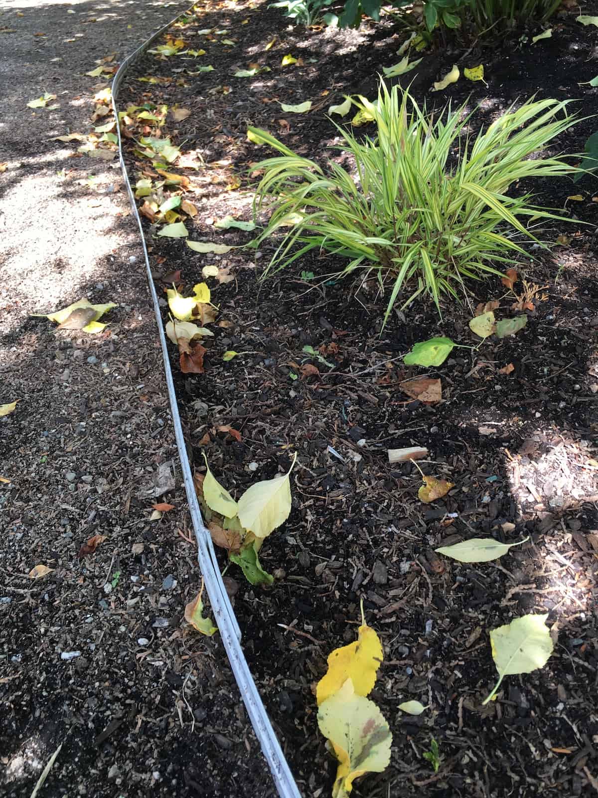 7 garden edging ideas 🌿 🌸 Transform your outdoor space with defined ...