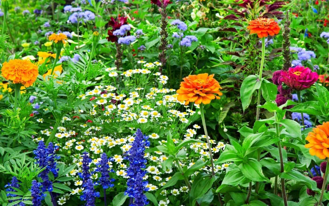 Bright Flowers Garden