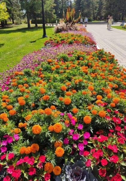 27+ flower bed ideas 🌺 🌿 Turn your garden into a blossoming paradise