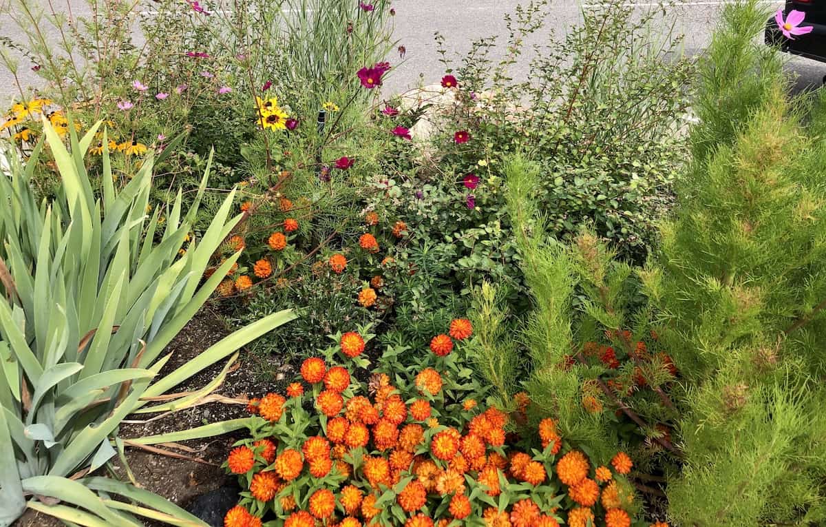 27+ flower bed ideas 🌺 🌿 Turn your garden into a blossoming paradise