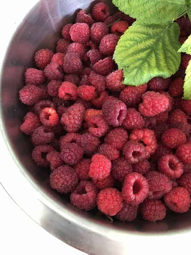 Raspberry fertilizer 🌿 🍇 Boost your berries for a bountiful harvest