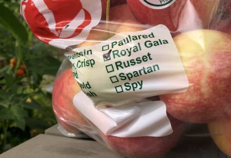 Gala apples 🍎 🌟 Discover the crunch and sweetness of this popular variety