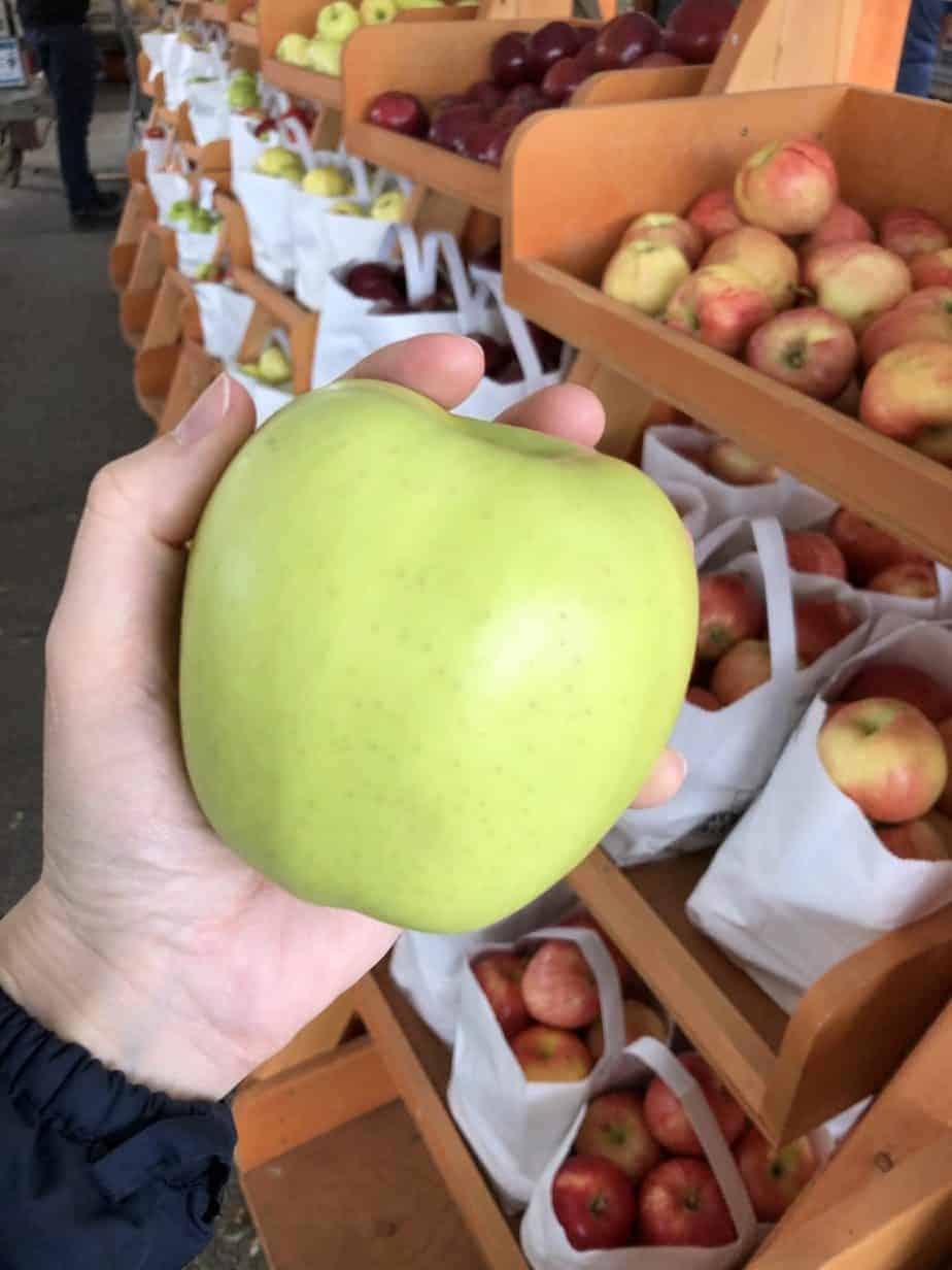 De zoetste appelsoorten: 40 zoete appelvariëteiten om vers te eten ...