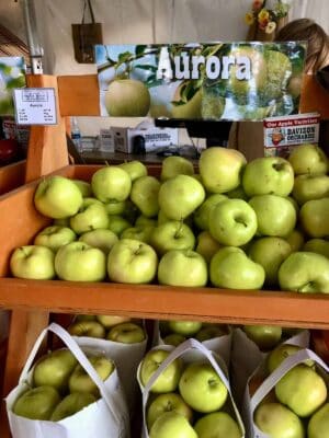 30 green apples 🍏 🌳 The ultimate guide to varieties and uses