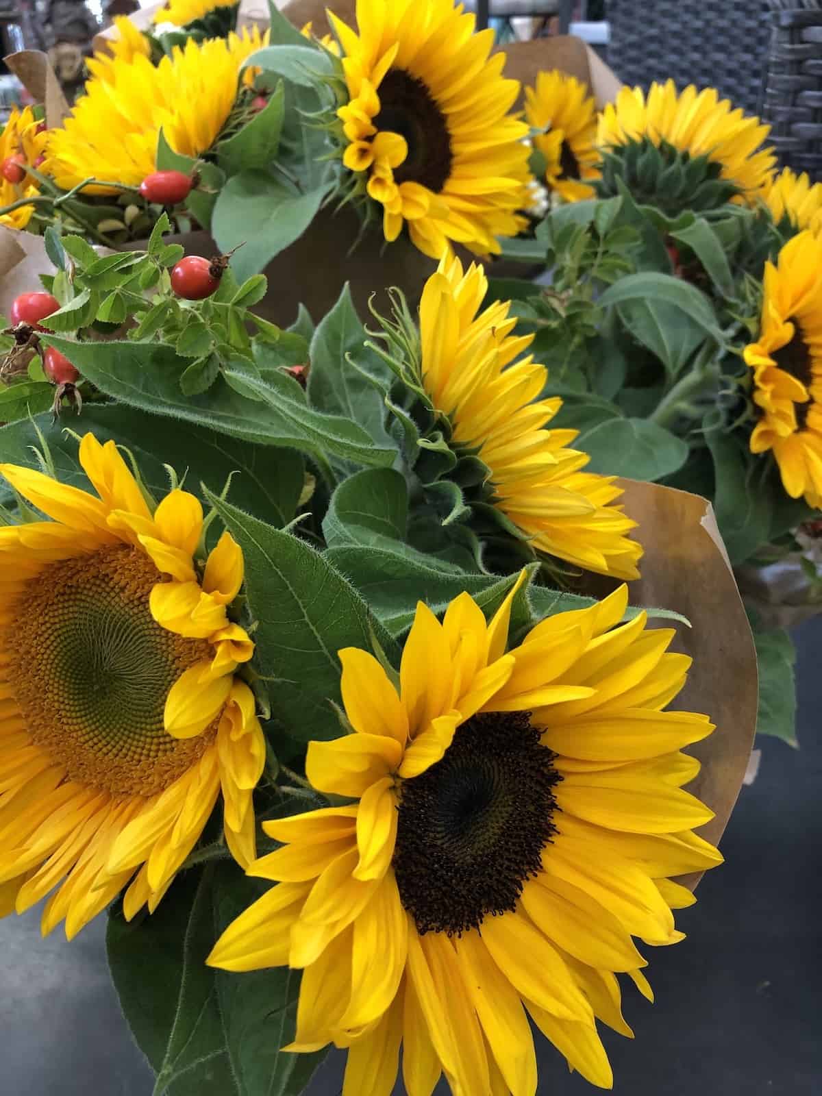 Fall Curb Appeal: Landscaping Tips For Fantastic Frontage This Fall