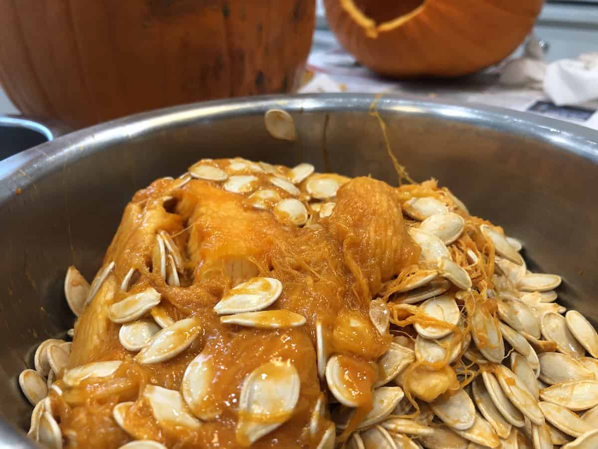 Pumpkin guts 🎃 👻 29+ ideas for what's inside and how to use them