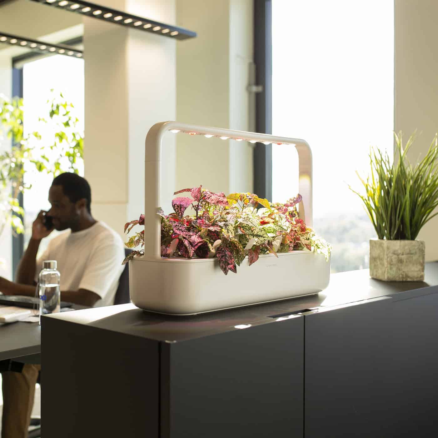 Click and Grow review 🌱💡 Discover the efficiency of the Smart Garden 3