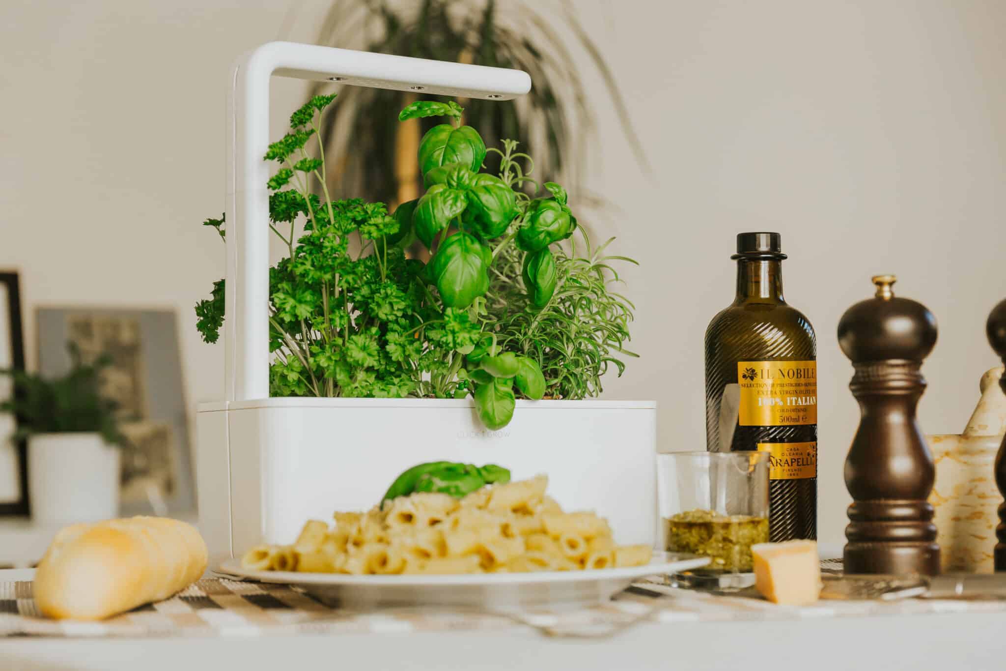 Click and Grow review 🌱💡 Discover the efficiency of the Smart Garden 3