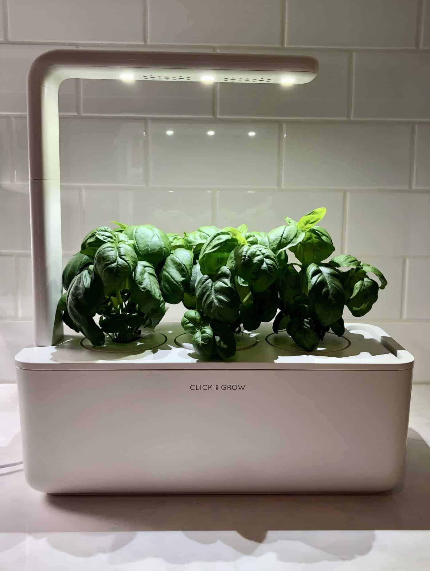 Click and Grow review 🌱💡 Discover the efficiency of the Smart Garden 3