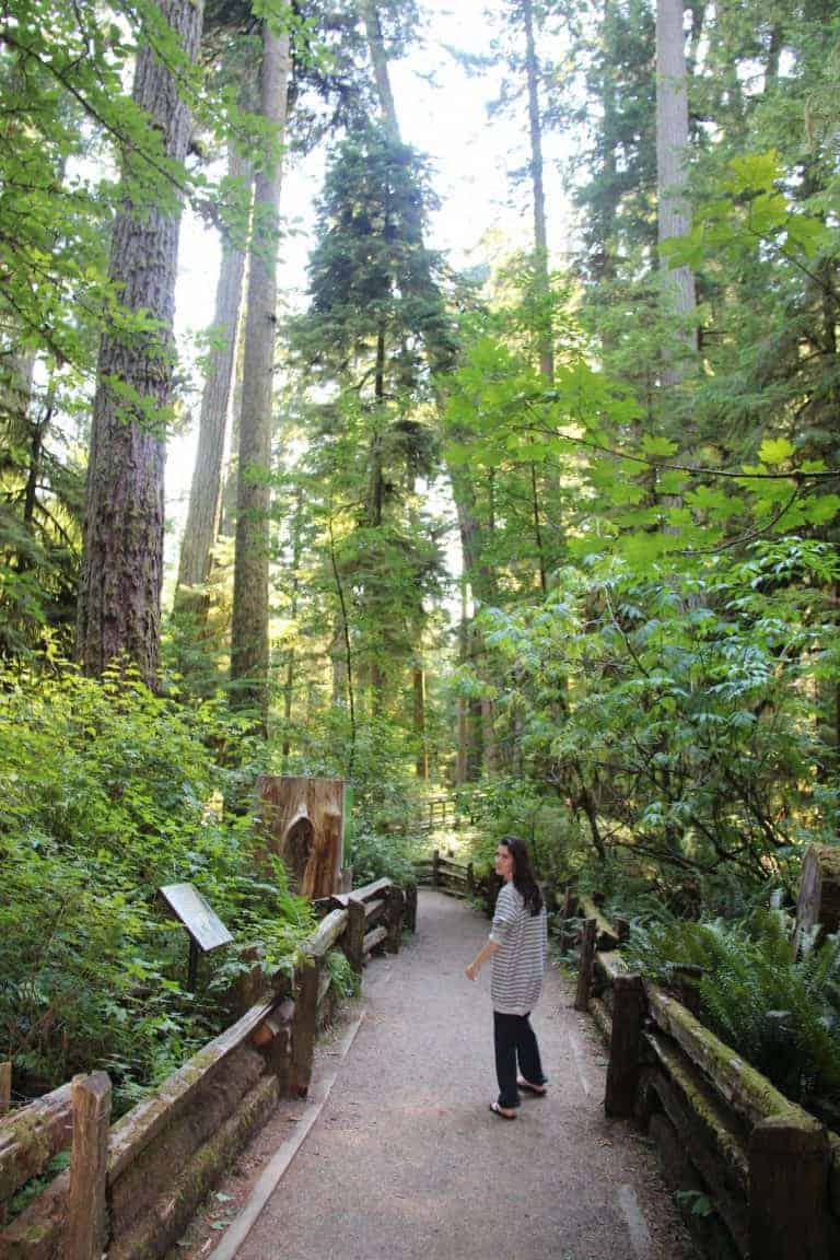 How long does it take for a tree to grow 🌳 ⏰ Timeline and growth basics