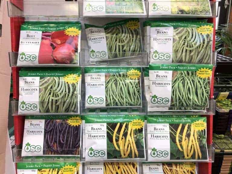 25+ Canadian seed companies 🌾 🇨🇦 Sow the seeds of a lush, vibrant garden