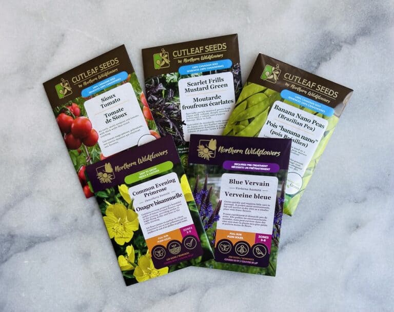 25+ Canadian seed companies 🌾 🇨🇦 Sow the seeds of a lush, vibrant garden
