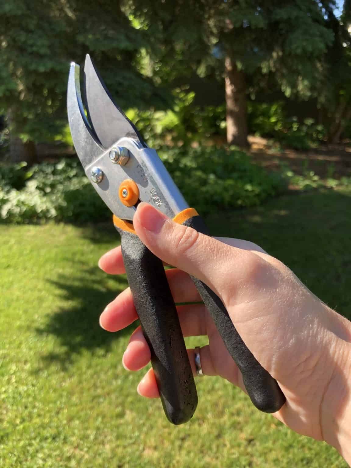Fiskars pruners review ️ 🌿 Discover the cutting-edge performance