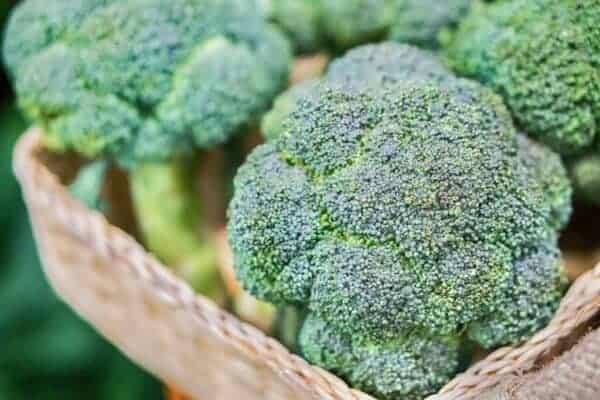 How to plant vegetable seeds 🌱 🥦 A step-by-step guide for beginners
