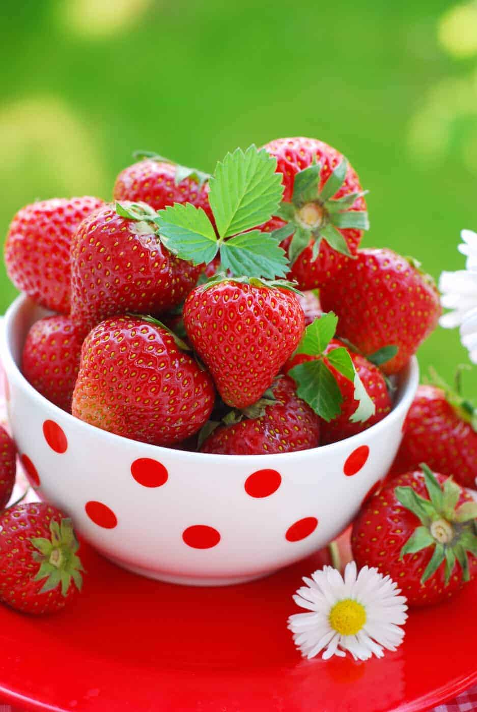 Seascape strawberry 🍓 🌿 Discover its unique flavor and growing needs