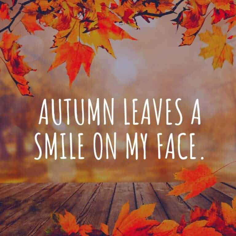 101+ fall puns 🍂 🤣 Unbe-leaf-able jokes to make your autumn days brighter!