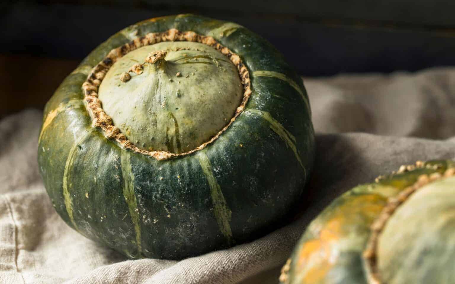 23+ best pumpkins for pie 🥧 🎃 Gourmet varieties to elevate your baking ...