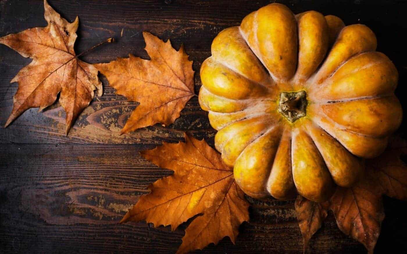 Fairytale Pumpkin: French Heirloom Musquée de Provence Variety Pumpkins