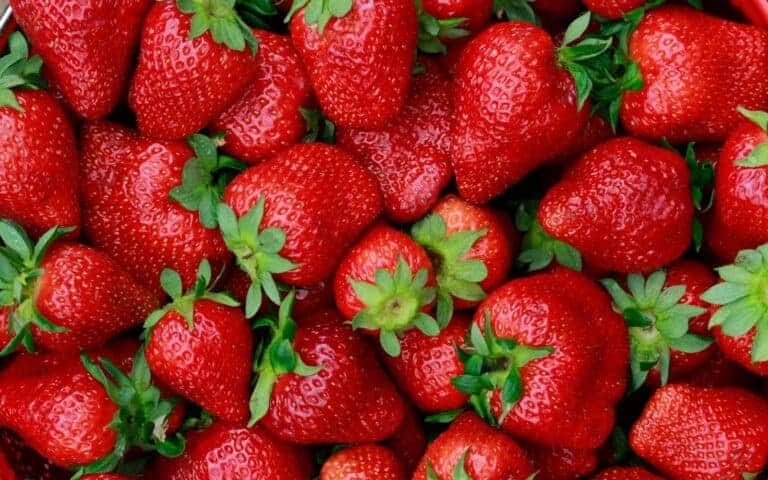 BEST strawberry varieties 🍓🌱 Discover tasty types for your garden