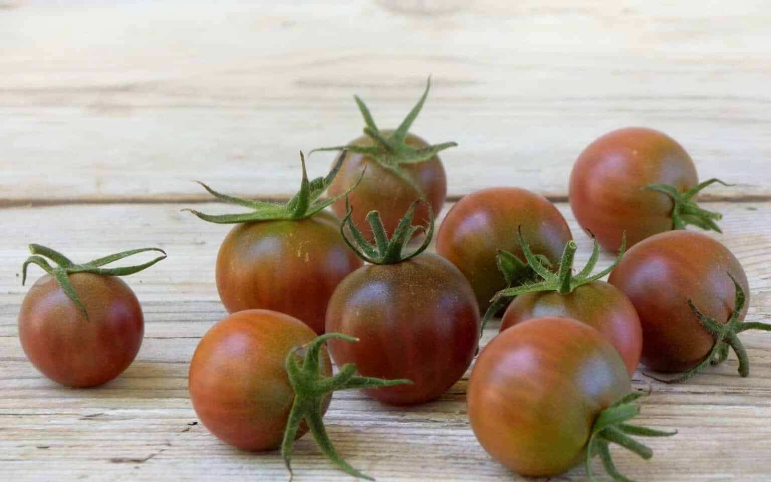 35+ sweet tomatoes 🍅 🍬 Dive into a world of flavorful and sugary varieties