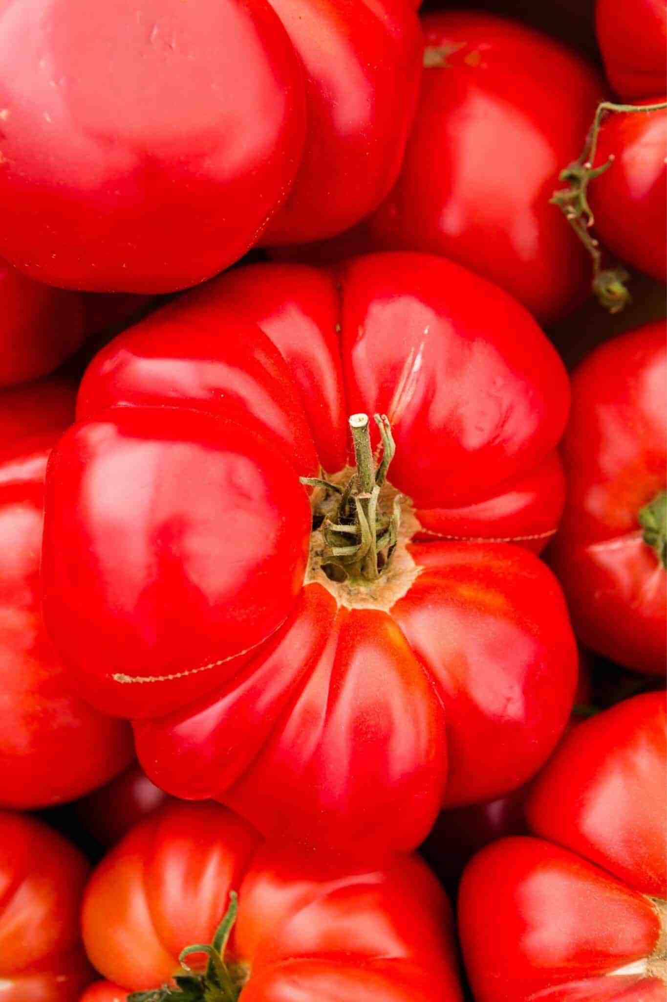 Beefsteak tomato 🍅 🌱 Uncover the secrets to growing this hearty slicer ...
