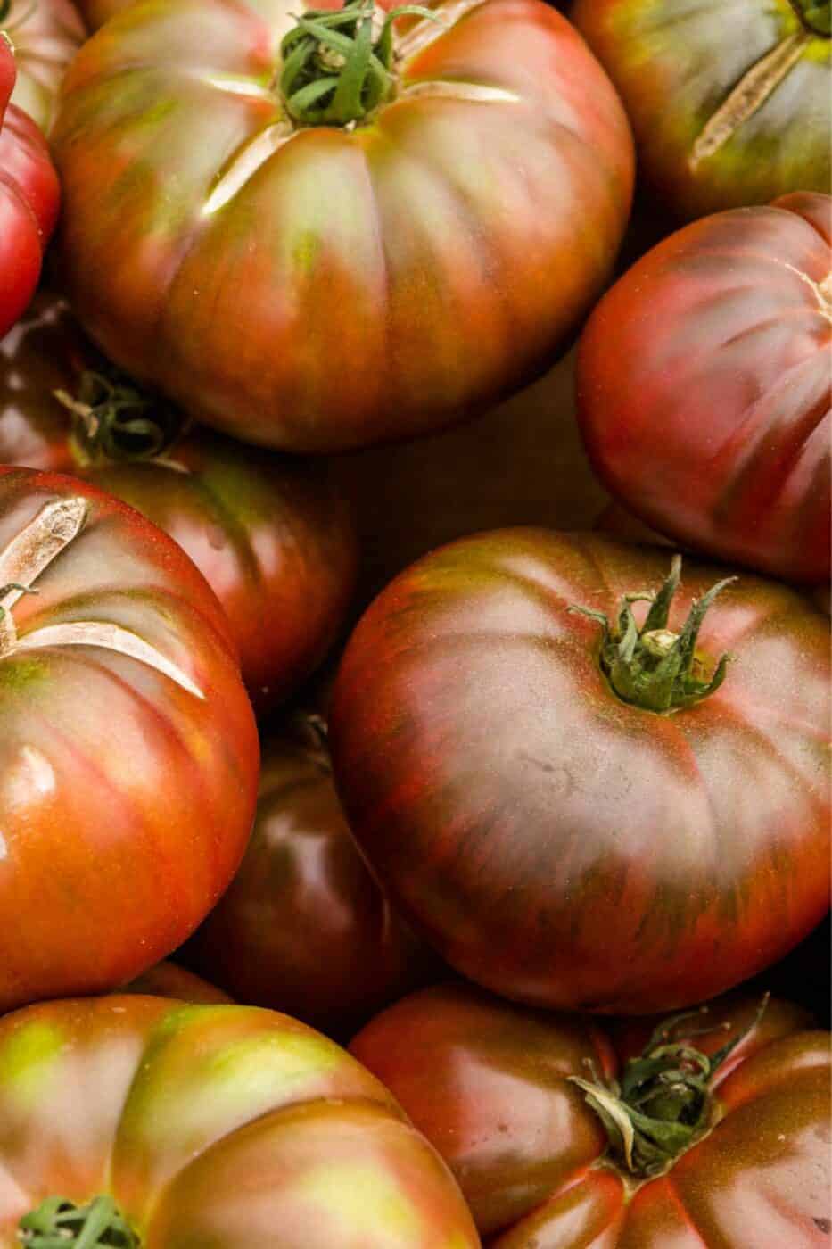 15+ purple tomatoes 💜 🍅 BEST varieties, growing tips, and culinary uses