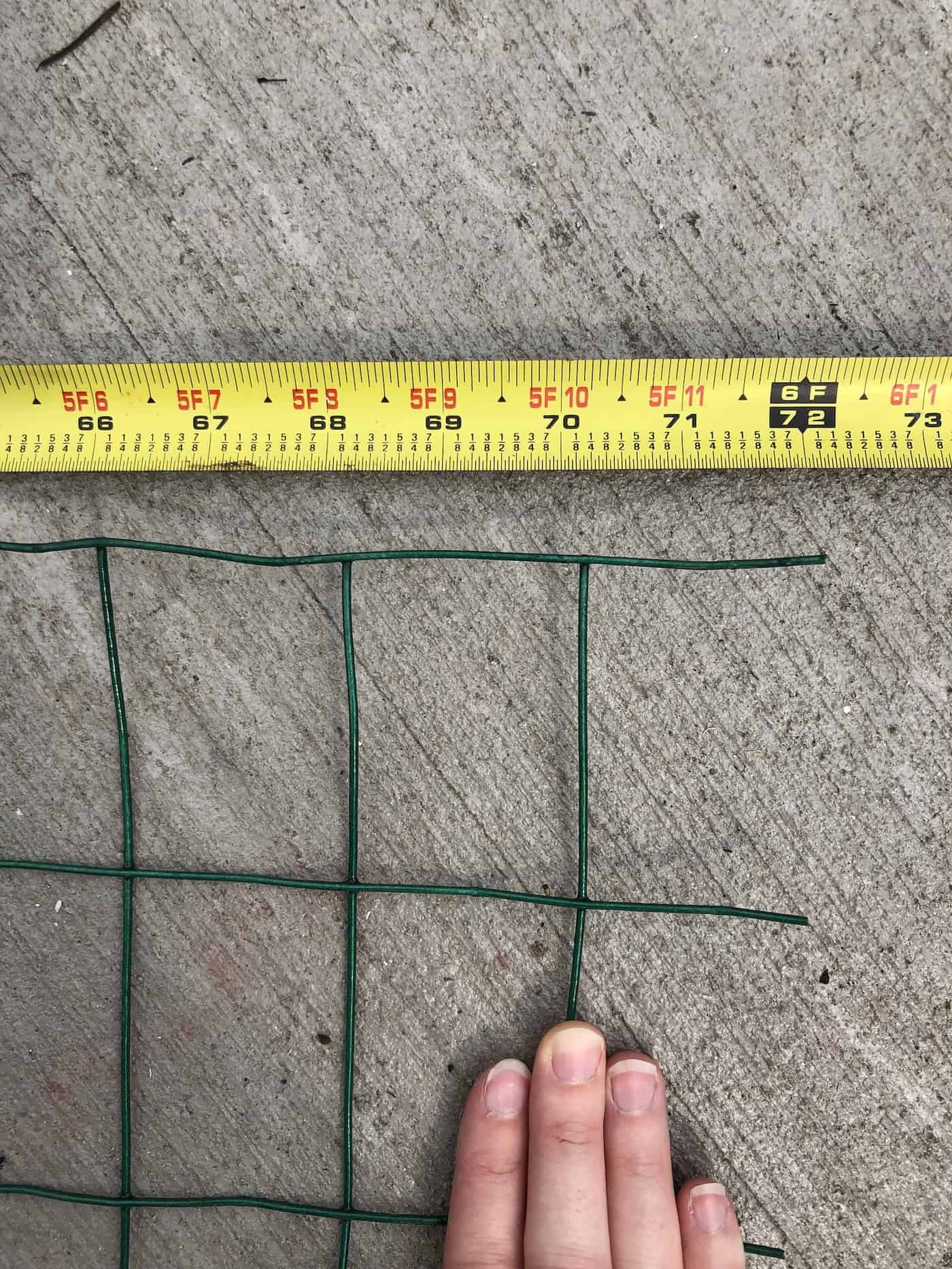 Choosing the right tomato cages 🌱 🍅 Elevate your vegetable garden!