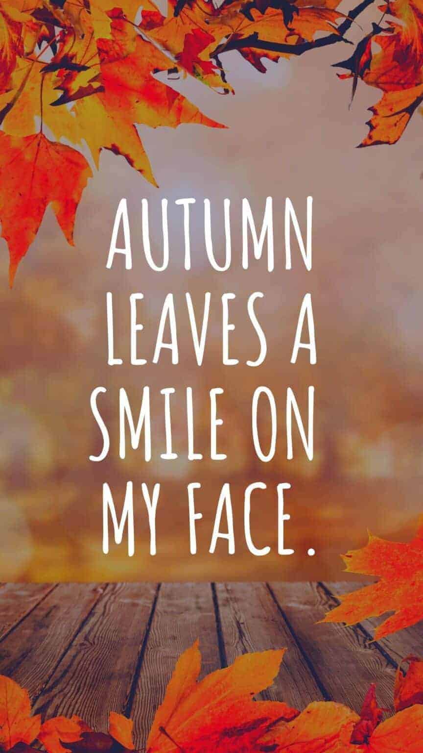 101+ fall puns 🍂 🤣 Unbe-leaf-able jokes to make your autumn days brighter!