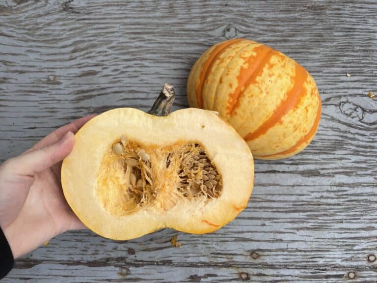 20+ yellow pumpkins 🎃 💛 Discover these cheerful varieties and uses!