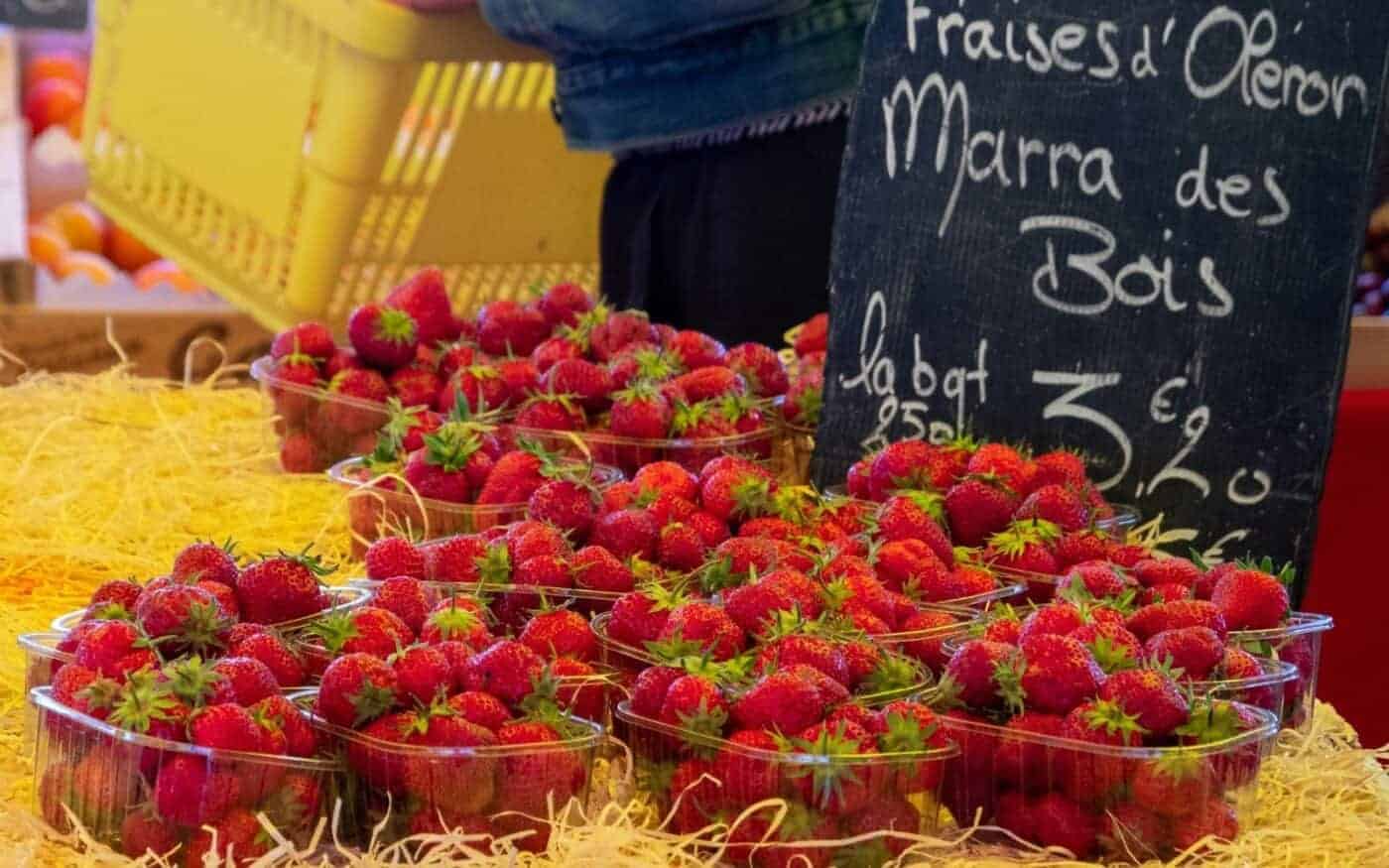 BEST strawberry varieties 🍓🌱 Discover tasty types for your garden